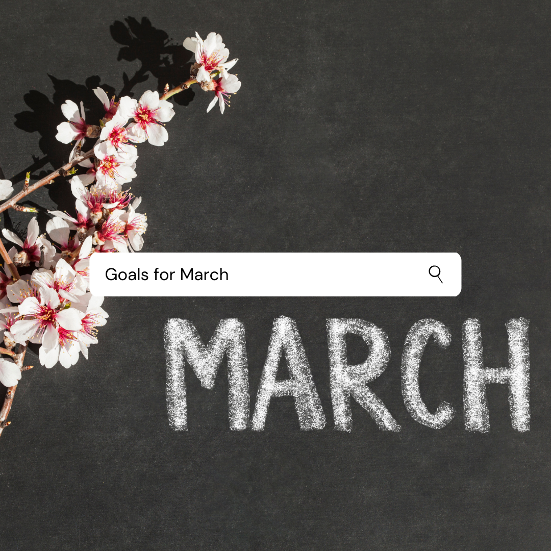 Goals For March – Update – How Did It Go? - HanPlans